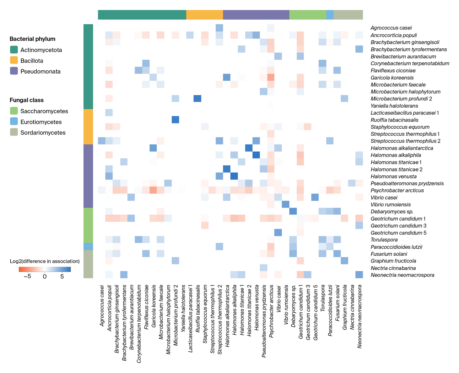 HiPR-FISH spatial mapping of cheese rind microbial communities | The Stacks