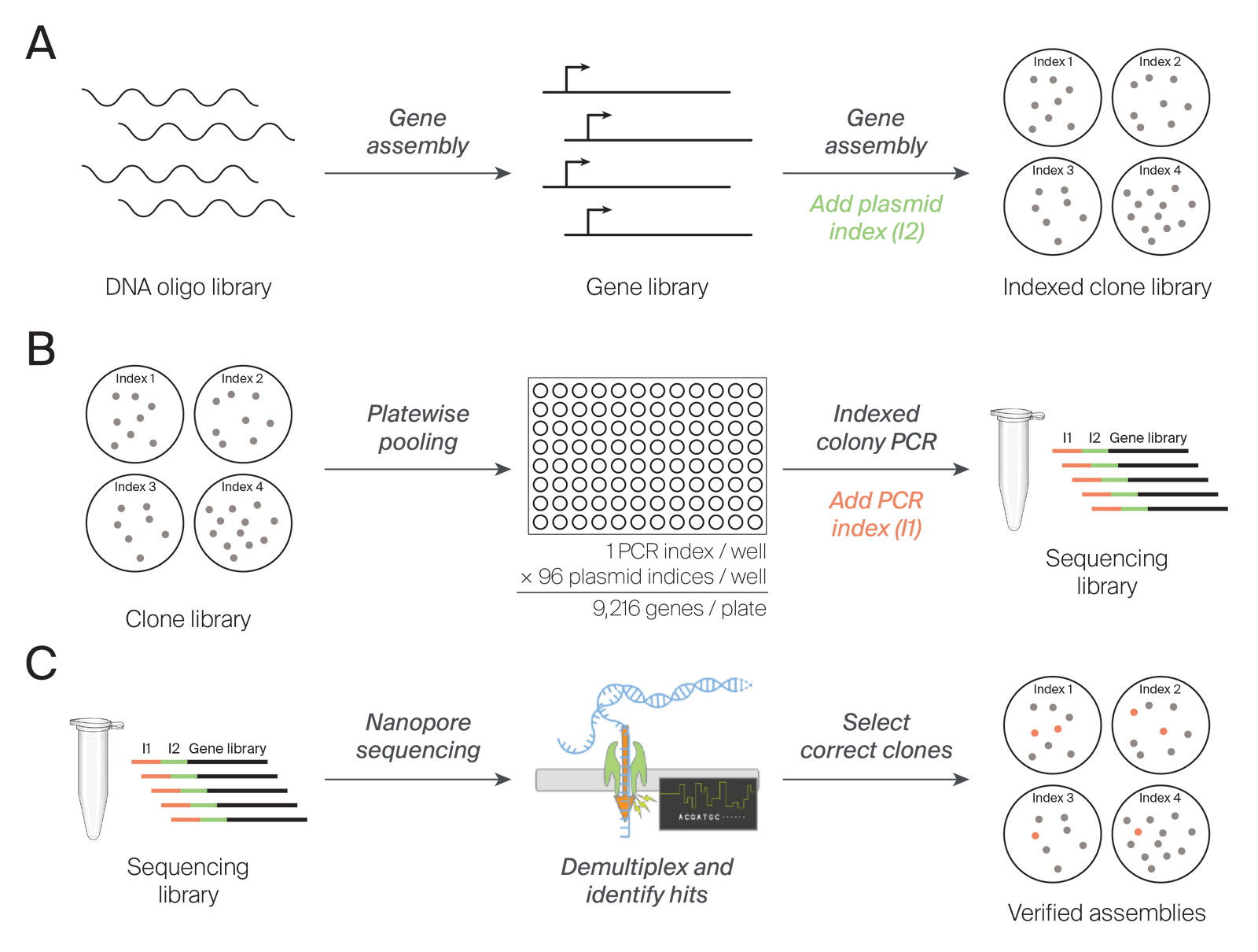 Combinatorial indexing and screening of clonal DNA fragments | The Stacks