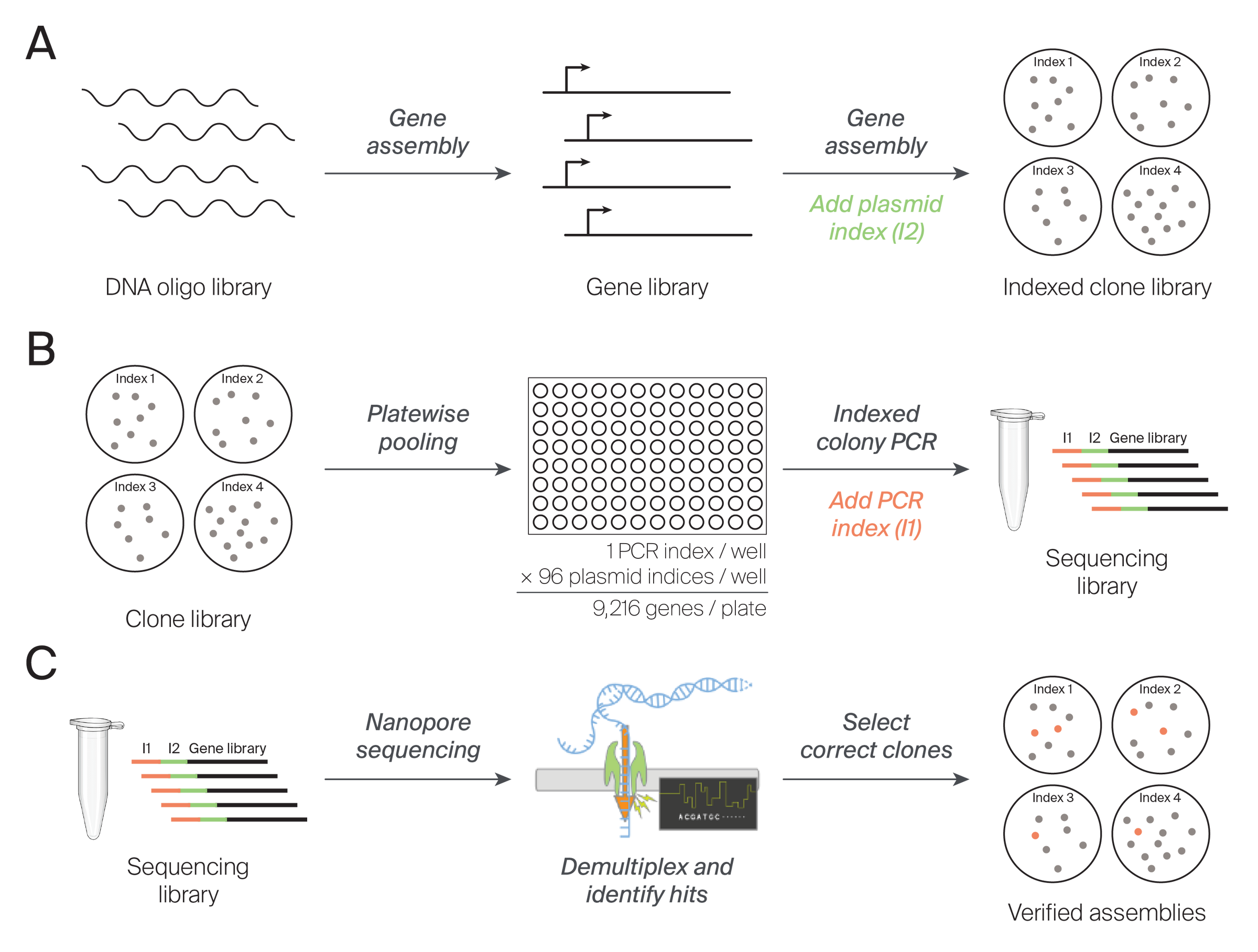 Combinatorial indexing and screening of clonal DNA fragments | The Stacks