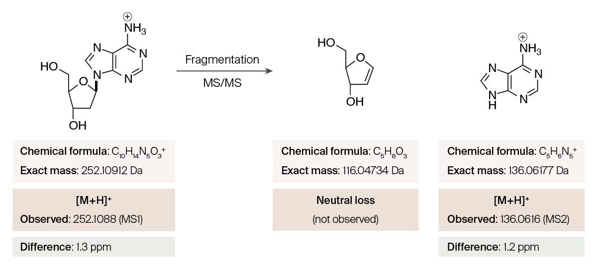 A workflow to isolate phage DNA and identify nucleosides by HPLC and ...