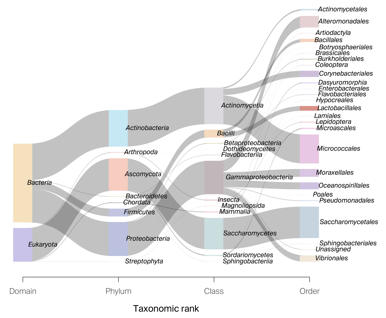 Quickly preprocessing and profiling microbial community sequencing data ...