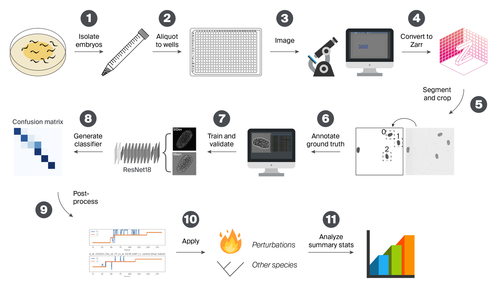 Automated classification of time-course imaging data applied to ...
