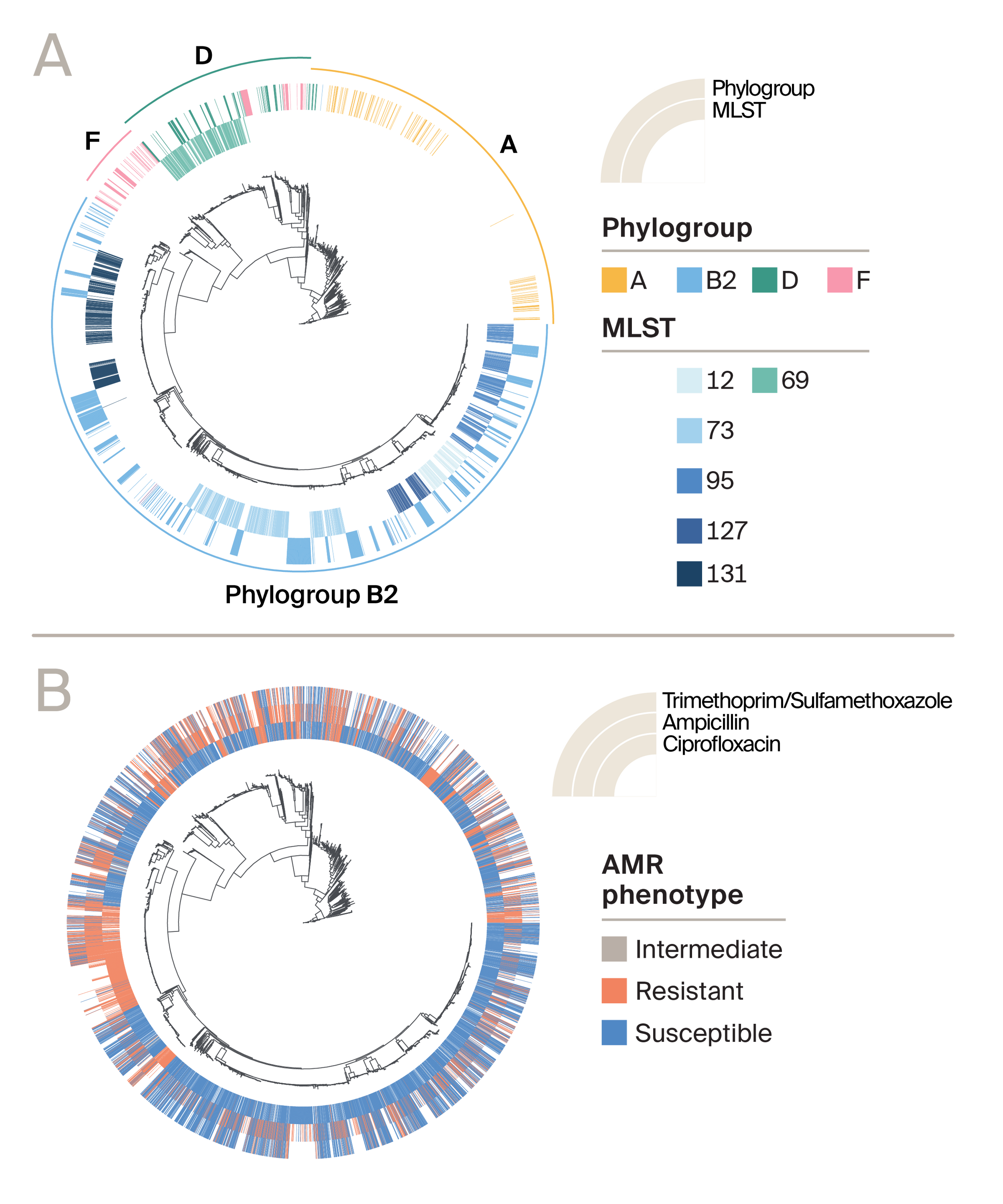 Predicting antimicrobial resistance phenotypes across 7,000 E. coli ...