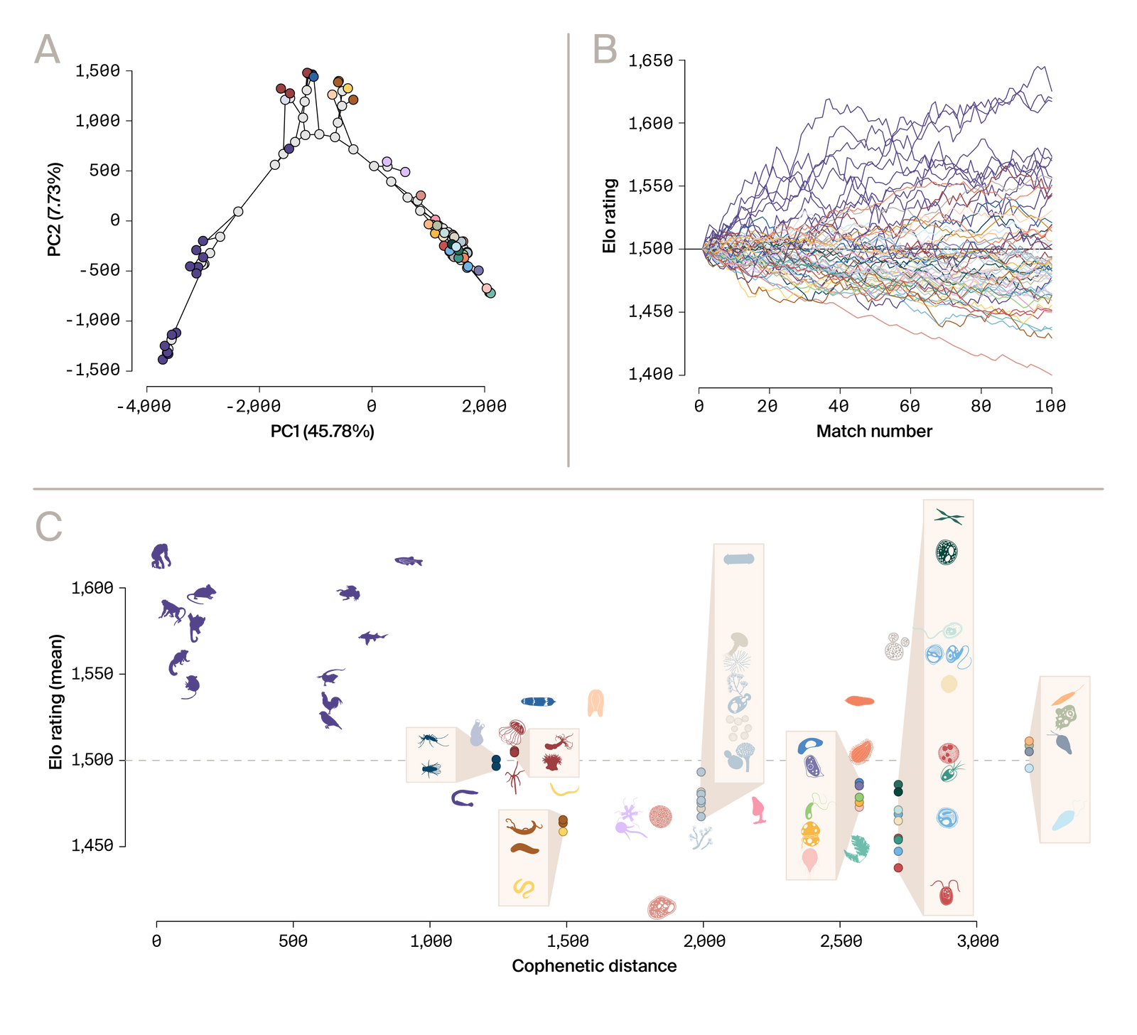 Leveraging evolution to identify novel organismal models of human ...